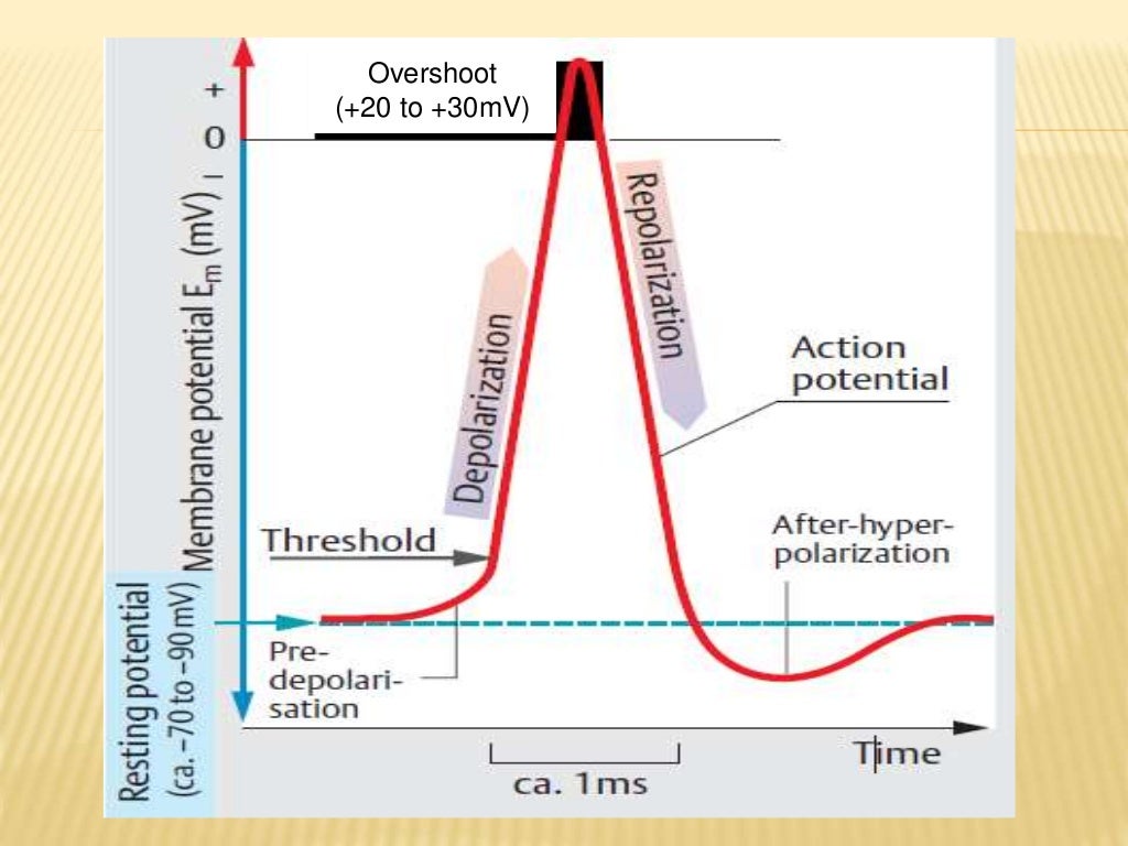 Bioelectric potential