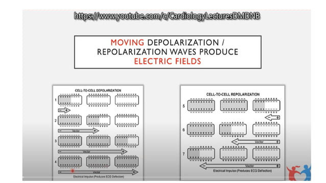 Bioelectricpotentials.pptx Physiology for MBBS/MD | PPT | Free Download