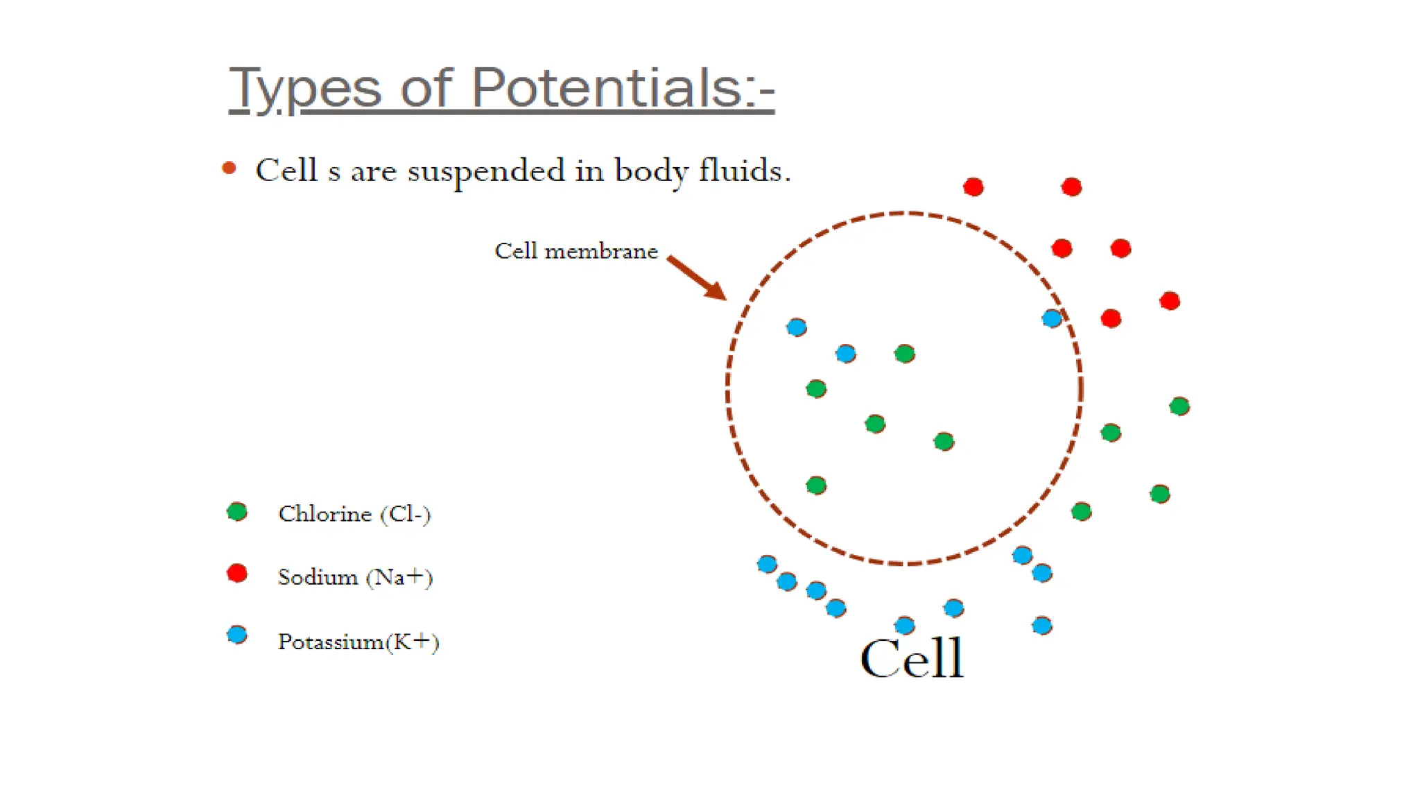 types of bioelectric potentials and their measurement | PPTX
