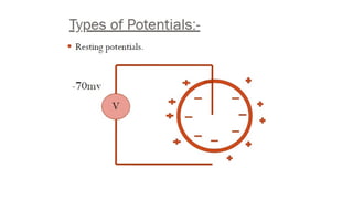 types of bioelectric potentials and their measurement | PPTX