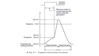 types of bioelectric potentials and their measurement | PPTX