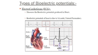 types of bioelectric potentials and their measurement | PPTX