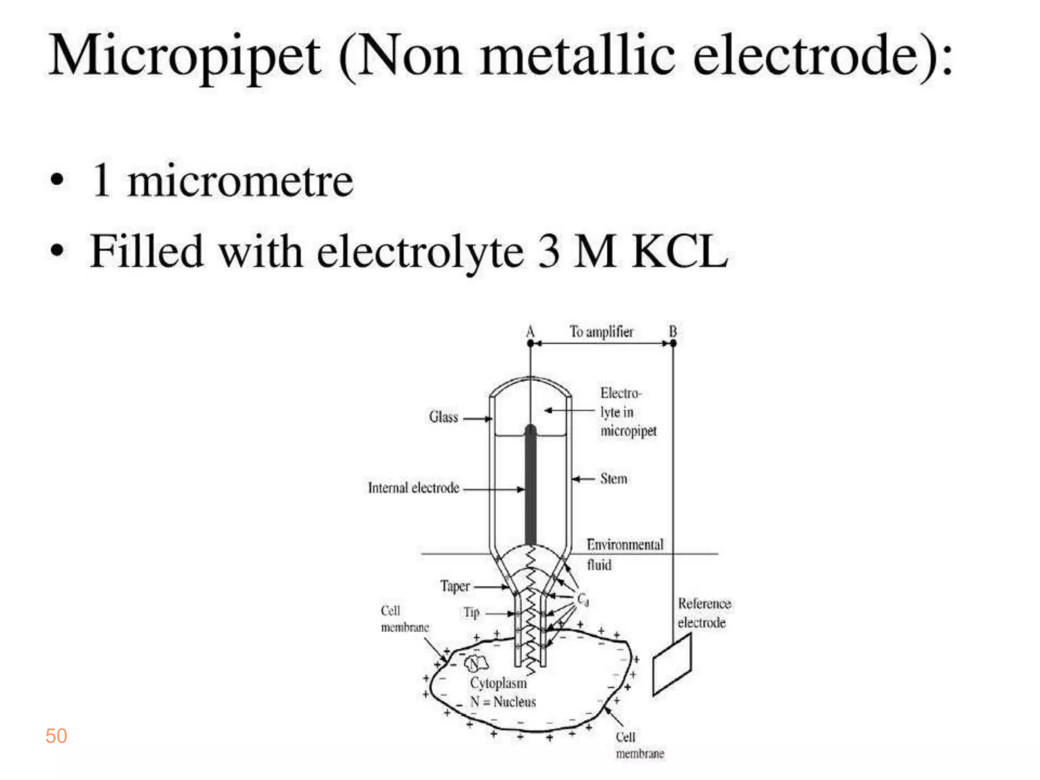 BIO ELECTRODES PPT.pptx