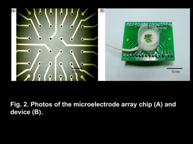 Basic concept and principles of bioelectronic nose.ppt