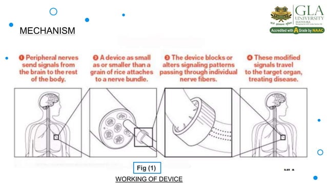 Bio electronic medicine.pptx