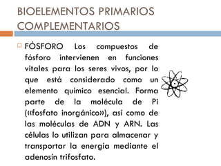 Bioelementos | PPT