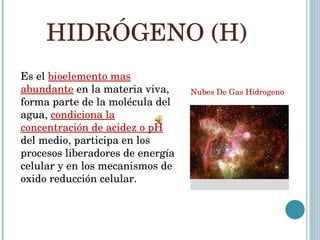 Bioelementos y biomoleculas | PPT