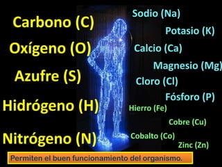 Bioelementos | PPTX