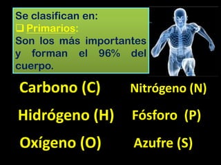 Bioelementos | PPTX