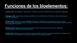 Bioelementos | PPTX