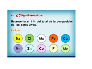 Bioelementos | PPTX