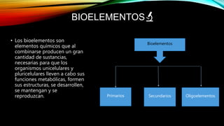 Bioelementos | PPTX