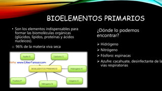 Bioelementos | PPTX