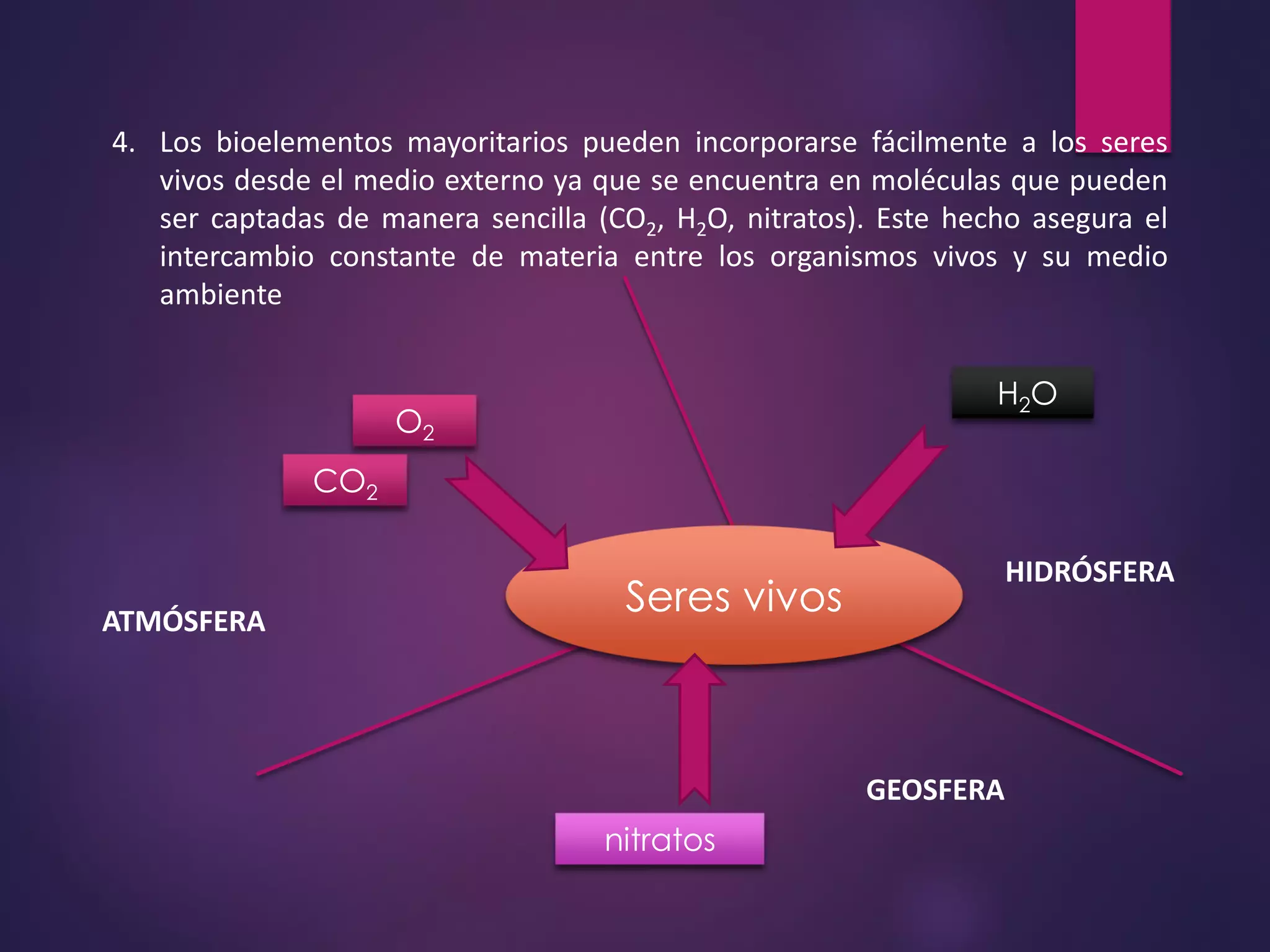 Bioelementos | PPT