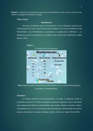 Bioelementos Primarios - Secundarios y Oligoelementos | PPTX