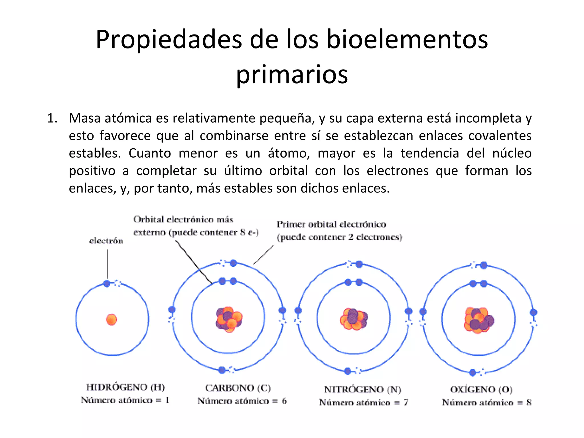 Bioelementos y biomoleculas. | PPT | Chemistry | Science