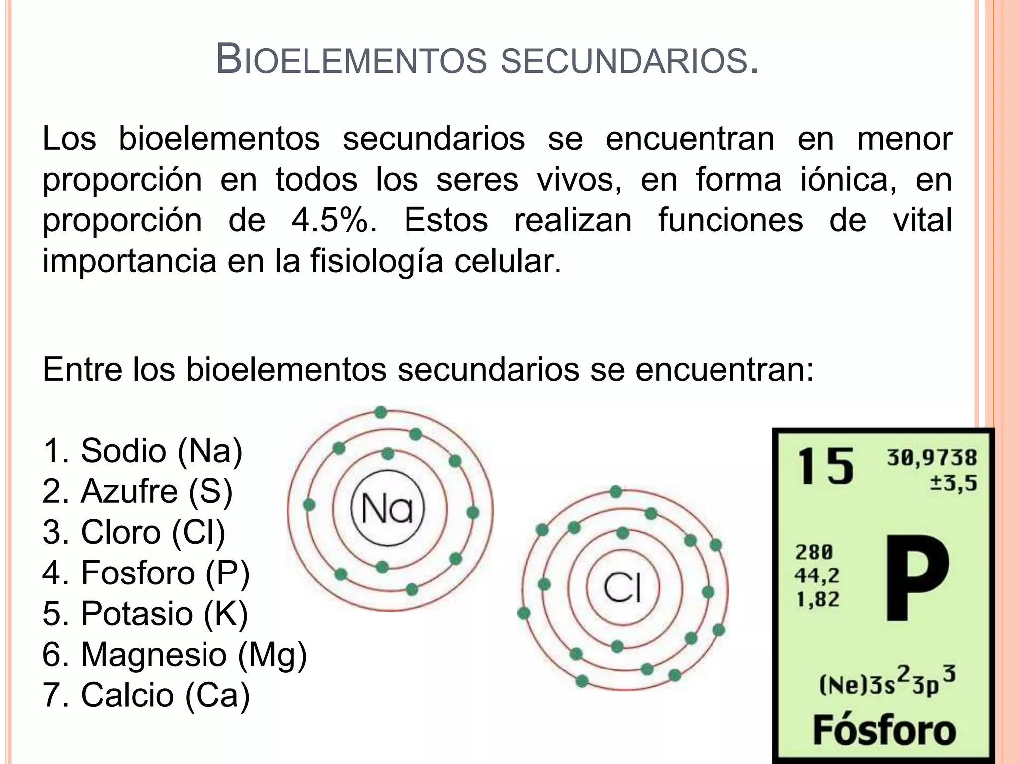 Bioelementos Bases Moleculares de la Bioquímica | PPTX
