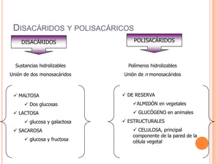 Bioelementosbiomoleculas | PPT