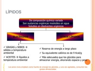 Bioelementosbiomoleculas | PPT
