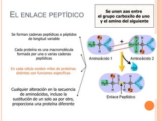 Bioelementosbiomoleculas | PPT