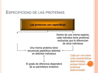Bioelementosbiomoleculas | PPT