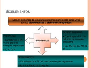 Bioelementosbiomoleculas
