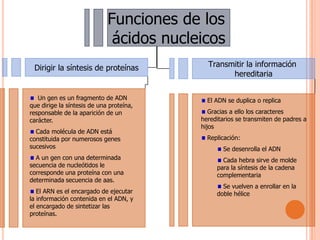 Bioelementosbiomoleculas | PPT
