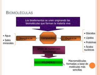 Bioelementosbiomoleculas