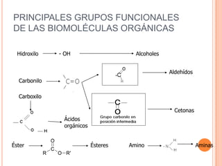 Bioelementosbiomoleculas