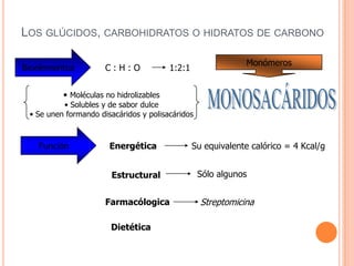 Bioelementosbiomoleculas | PPT