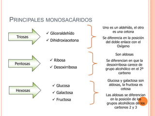Bioelementosbiomoleculas | PPT