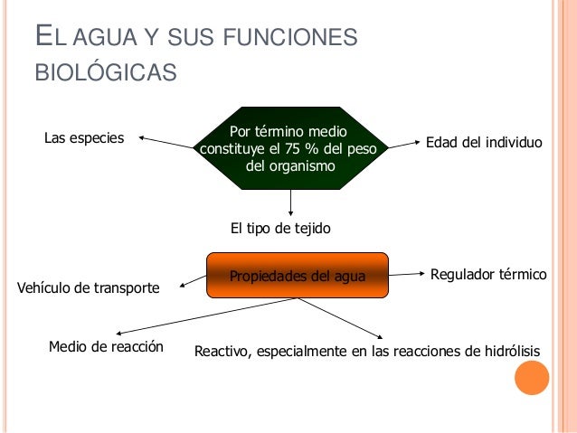 Bioelementosbiomoleculas