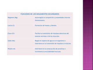 Bioelementos | PPTX