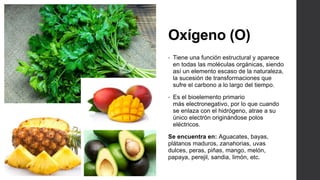 Bioelementos primarios | PPTX