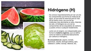 Bioelementos primarios | PPTX