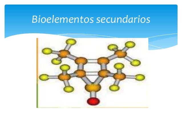 Bioelementos secundarios