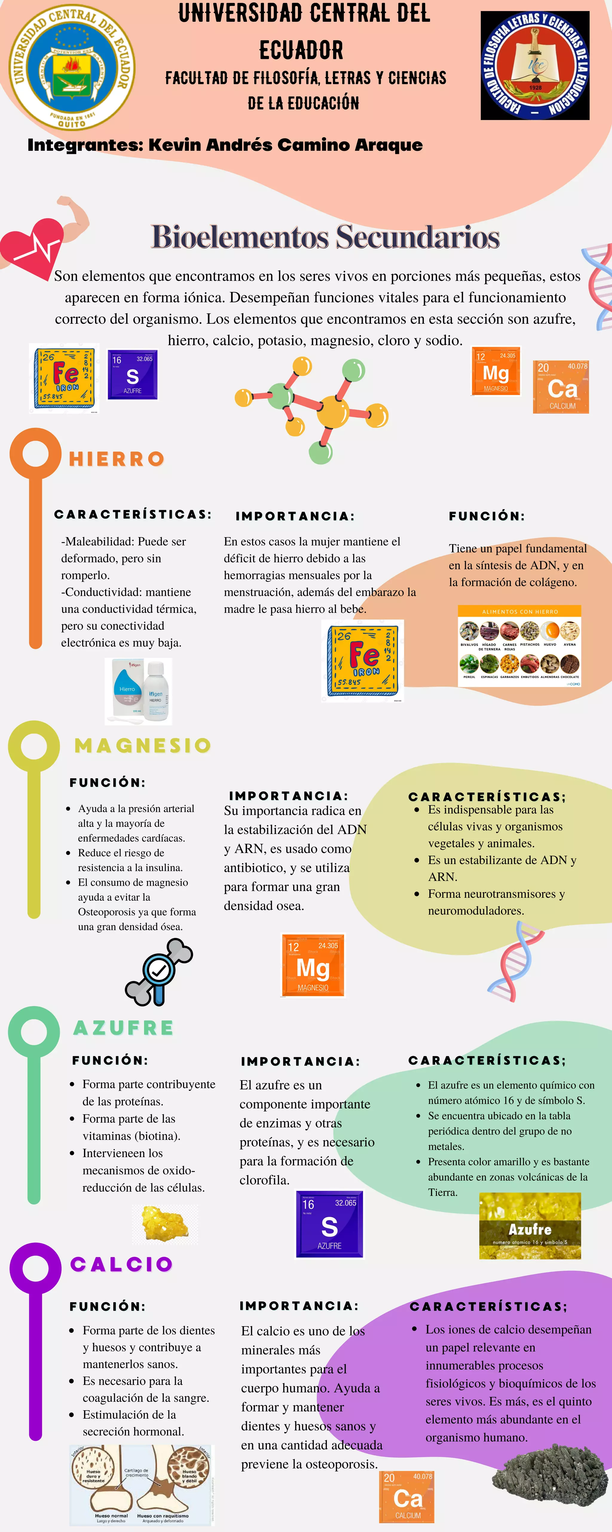 Bioelementos Secundarios (1).pdf