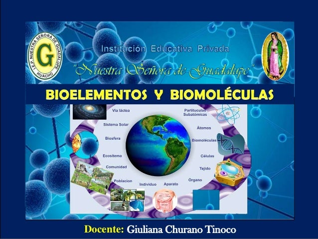 La Biosfera - La química de los seres vivos