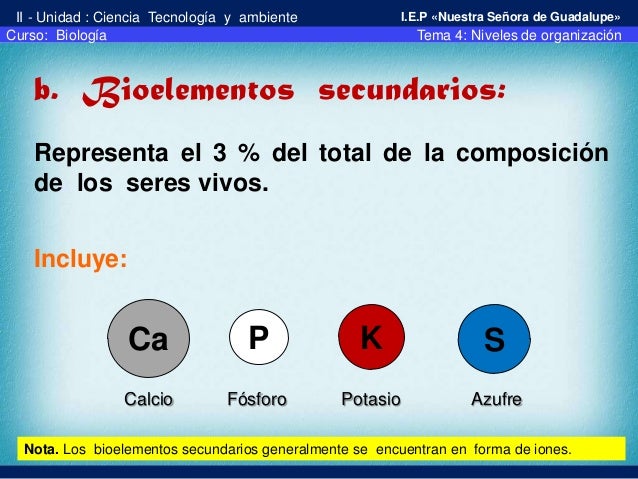 Los Bioelementos y Biomoléculas