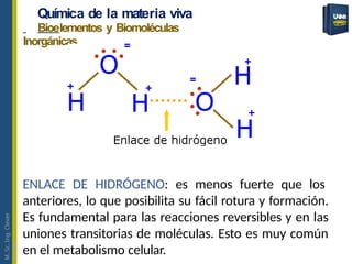 Bioelementos y Biomoléculas Inorgánicos de suma importancia biologica ...
