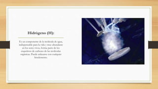 Bioelementos y biomoleculas | PPTX