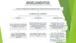 Bioelementos_y_biomoleculaSSSSSSSSSSSSSSSSs.pptx