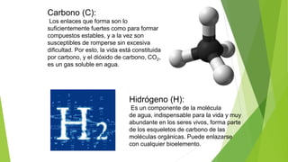 Bioelementos_y_biomoleculas. secundaria - preuniversitario | PPTX