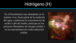 Bioelementos y biomoleculas biologia contemporanea | PPTX