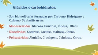 Bioelemntos y biocompuestos. | PPTX
