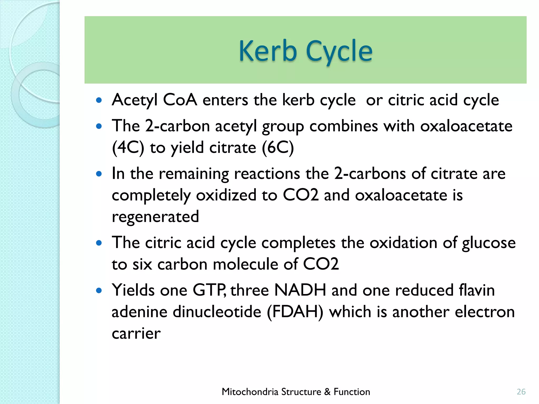 Bioenergentics & Metabolism | PDF
