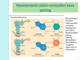 Bioenergentics & Metabolism | PDF