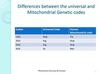 Bioenergentics & Metabolism | PDF