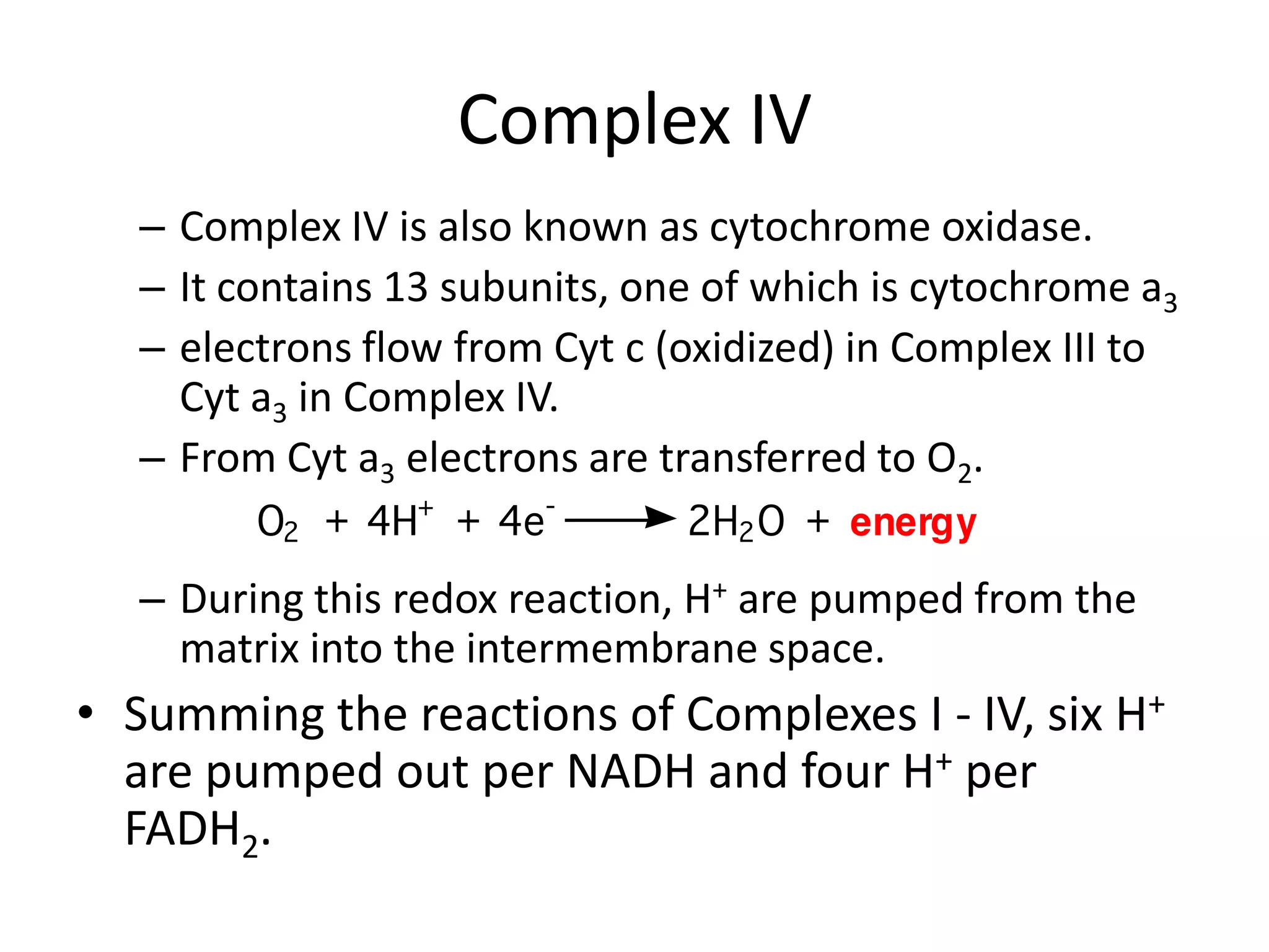 Bioenergetics | PPTX