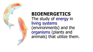 Bioenergetics | PPTX